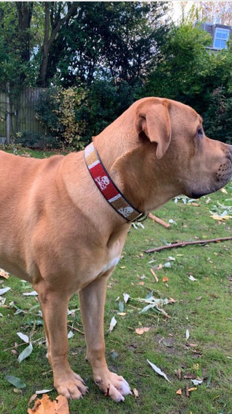 Manyatta Belts® Official Site